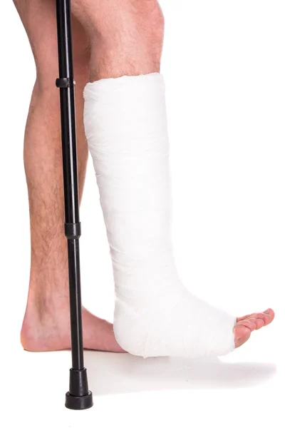 ᐈ A cast stock pictures, Royalty Free cast images | download on ...