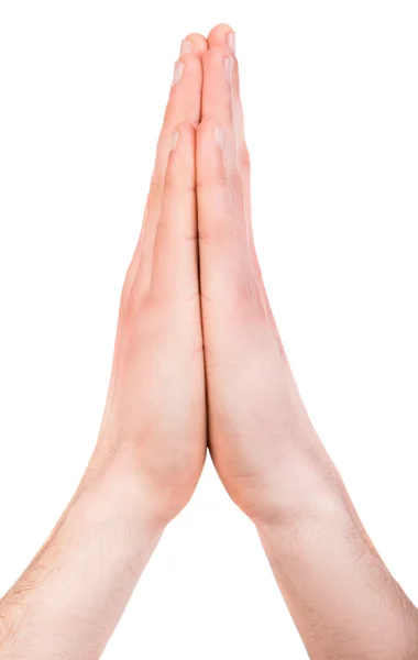 Manos orando fotos de stock, imágenes de Manos orando sin royalties ...