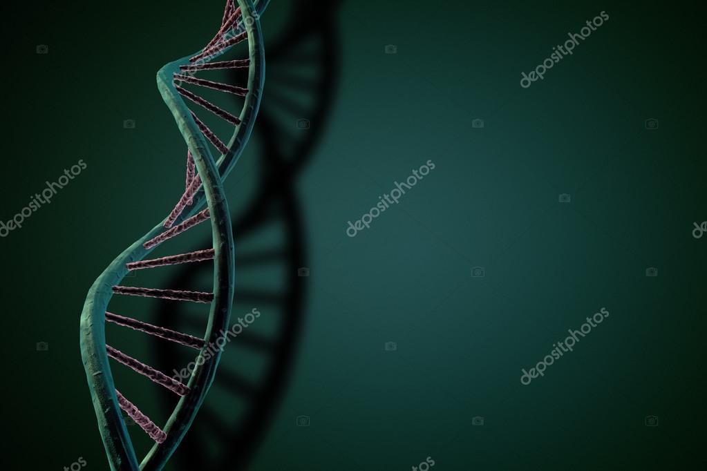 DNA String — Stock Photo © vjanez #52377013