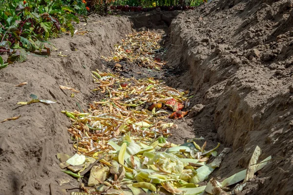 Preparación de fosas de compost, reciclaje de residuos orgánicos. Pozo ...