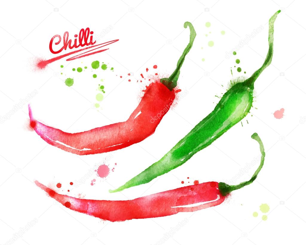 Hand drawn Watercolor chilli. — Stock Photo © Sonya_illustration #83760456