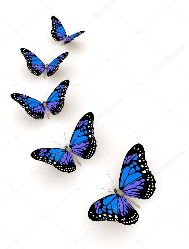 Five butterflies Stock Photo by ©hristianin 52002137