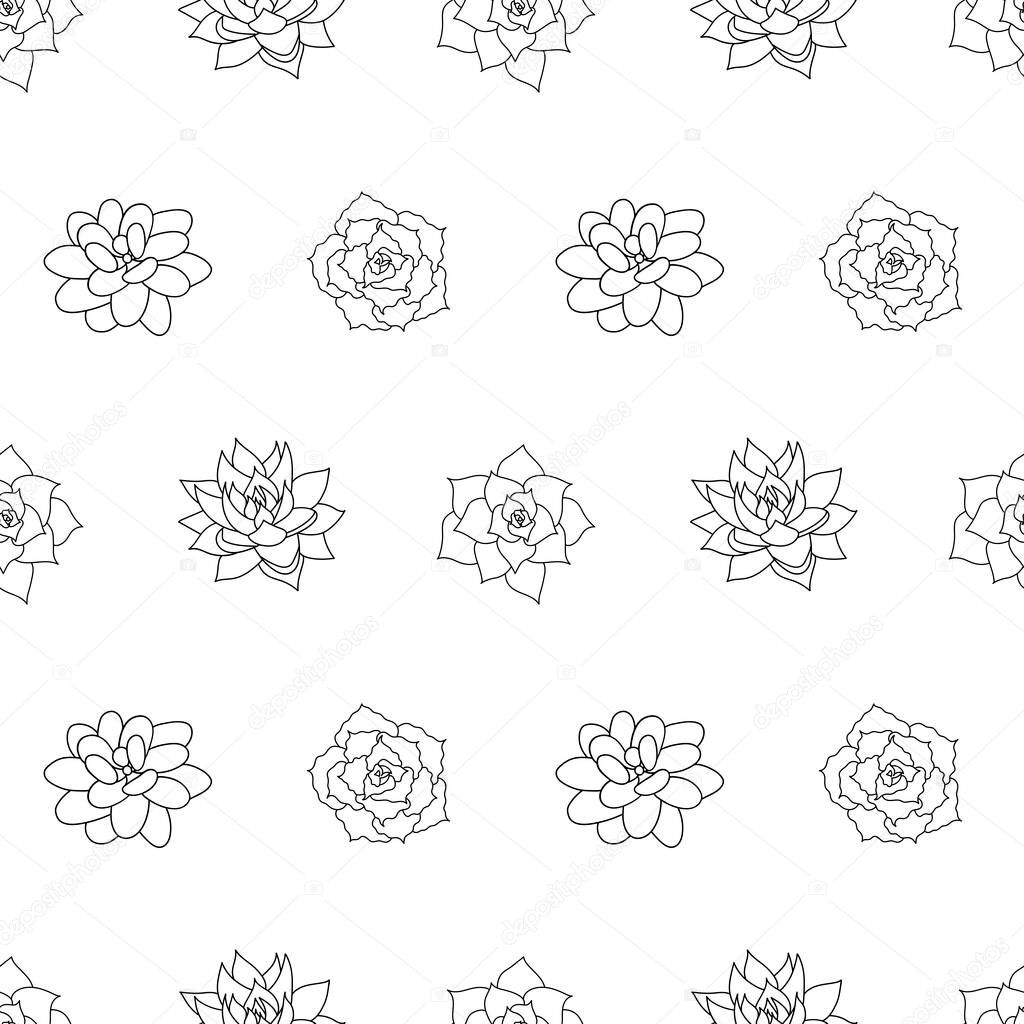 Patrón sin costura dibujado a mano suculento en estilo doodle contorno. Dibujo gráfico conjunto ...