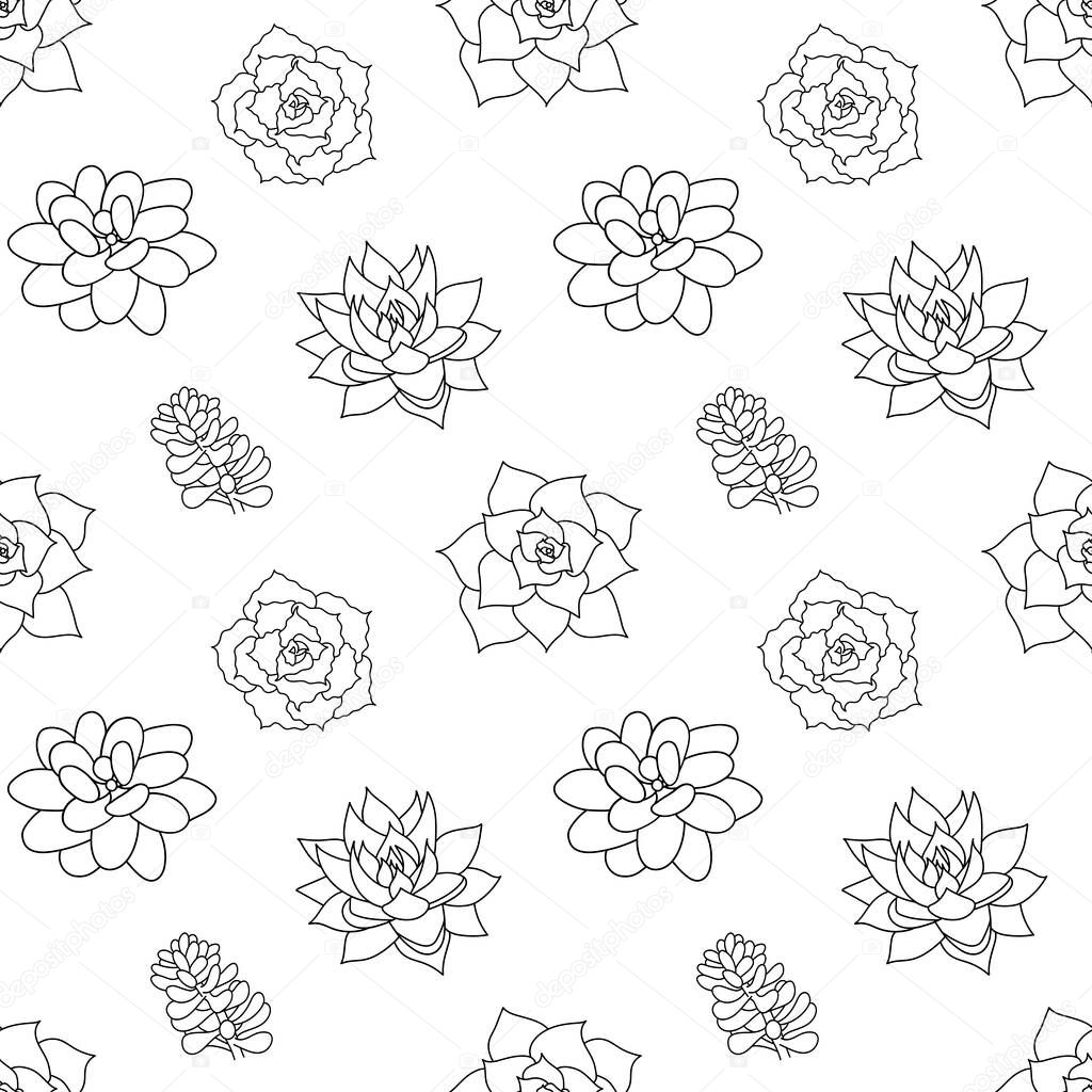 Patr n sin costura dibujado a mano suculento en estilo doodle contorno. Dibujo gr fico conjunto ...