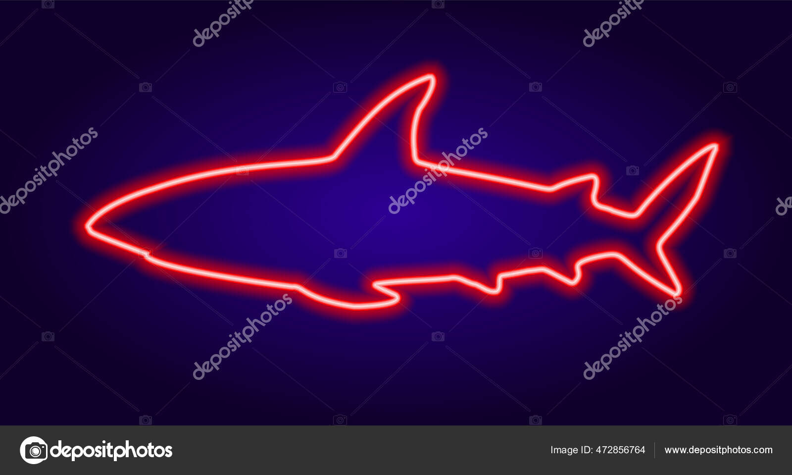 Neon Shark Sign Red Dark Blue Background Isolated Glow Dark Stock ...