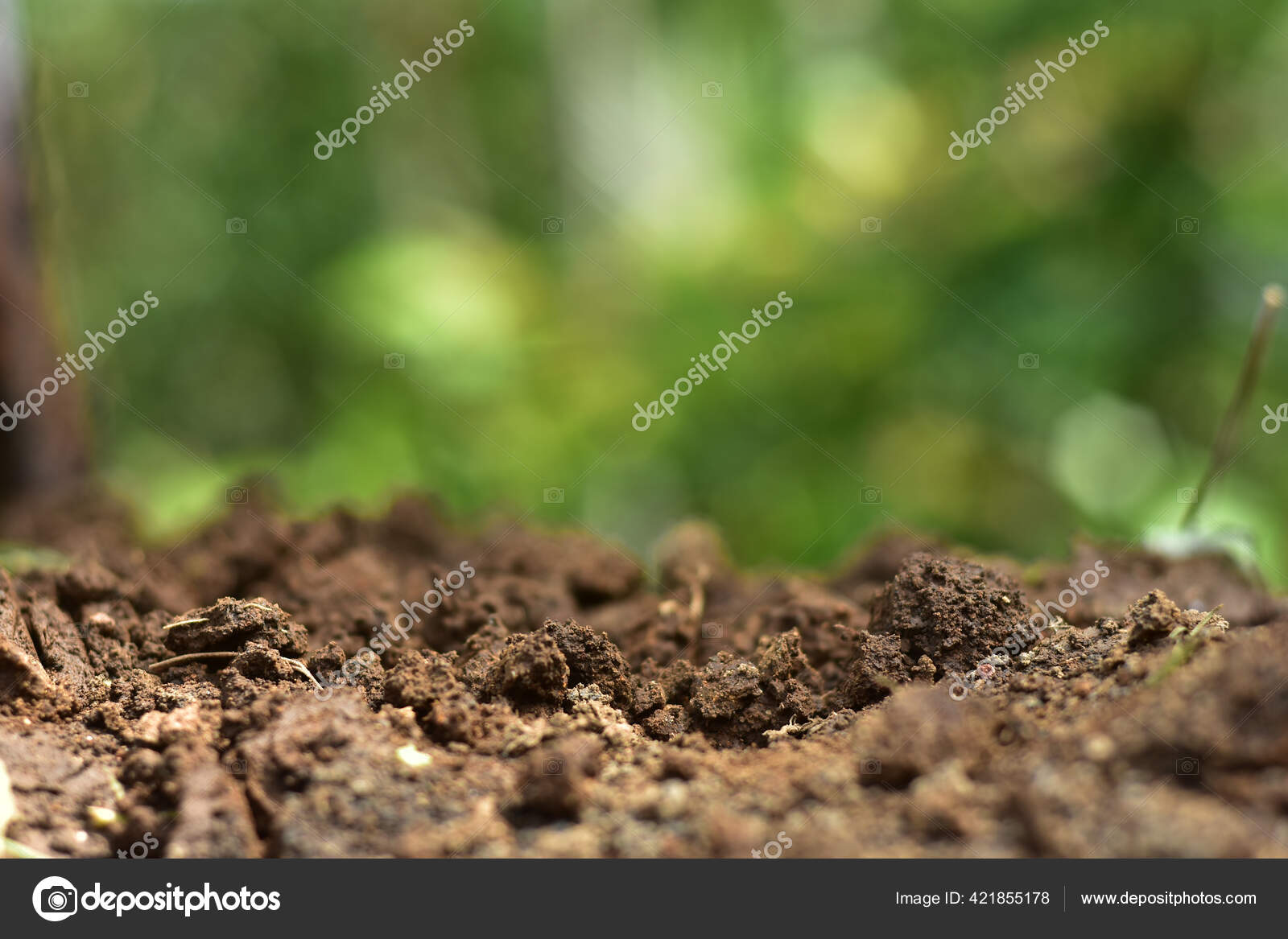 Clean Soil Cultivation Potting Soil Peat Suitable Gardening One Four ...