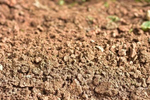 Humus soil Stock Photos, Royalty Free Humus soil Images | Depositphotos