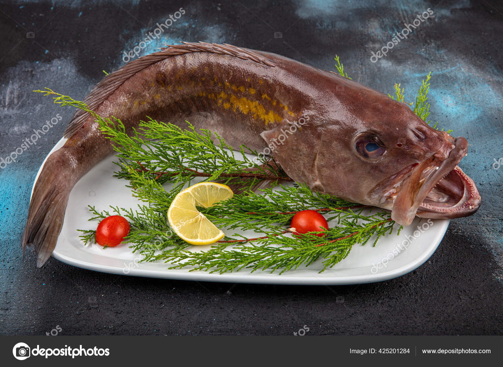 Close Grouper Fish Seafood Fish Market Top View Grouper Fish — Stock ...