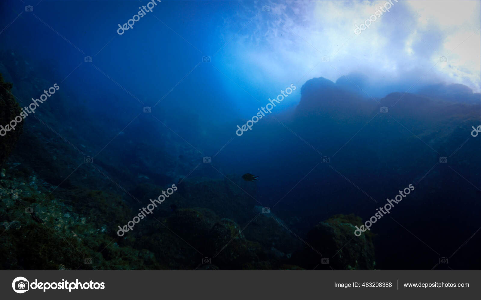 Underwater Landscape Waves Scuba Dive Canary Islands Atlantic Ocean ...