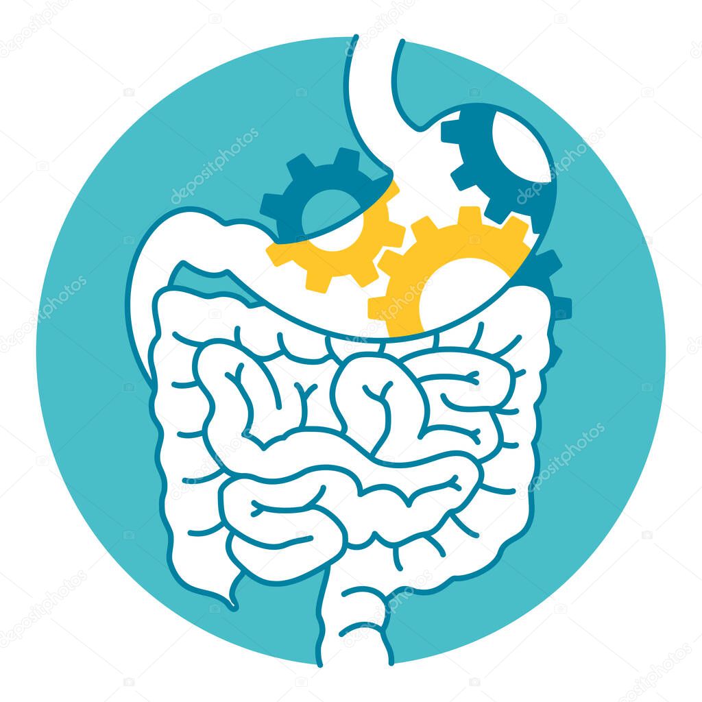 Digestive system flat icon or emblem - human stomach associated with ...