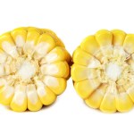 The corn cob pith Stock Photo by ©Xalanx 36966441