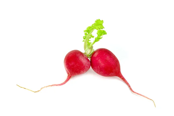 Radish Isolated White Background Include Clipping Path Stock Photo by ...
