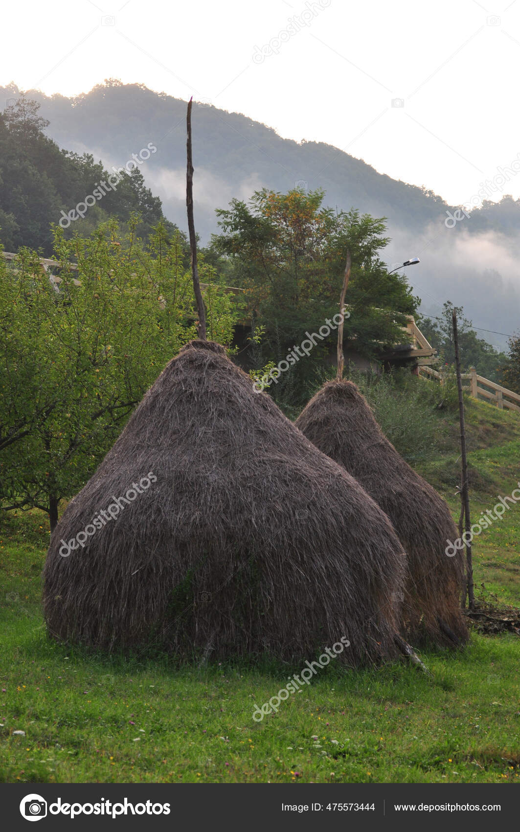 Haystack Maramures Large Piles Conical Hay Placed Wooden Log Being ...
