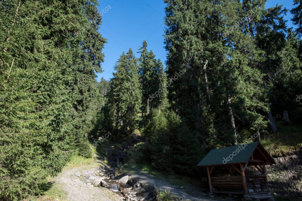 El Parque Nacional de las Montañas Rodna es un área natural ubicada en ...