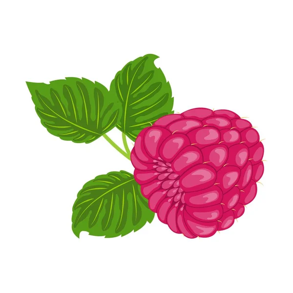 15,426,742 Raspberry logo Vector Images | Depositphotos