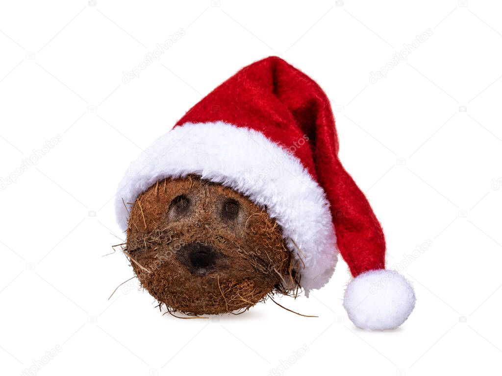 Vista frontal detallada de coco entero, mostrando la cara como marcas ...