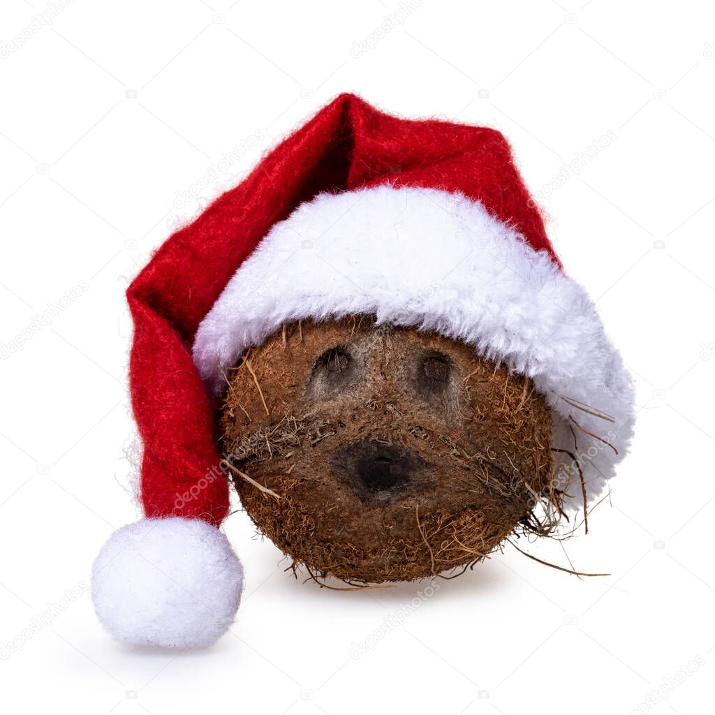 Vista frontal detallada de coco entero, mostrando la cara como marcas ...