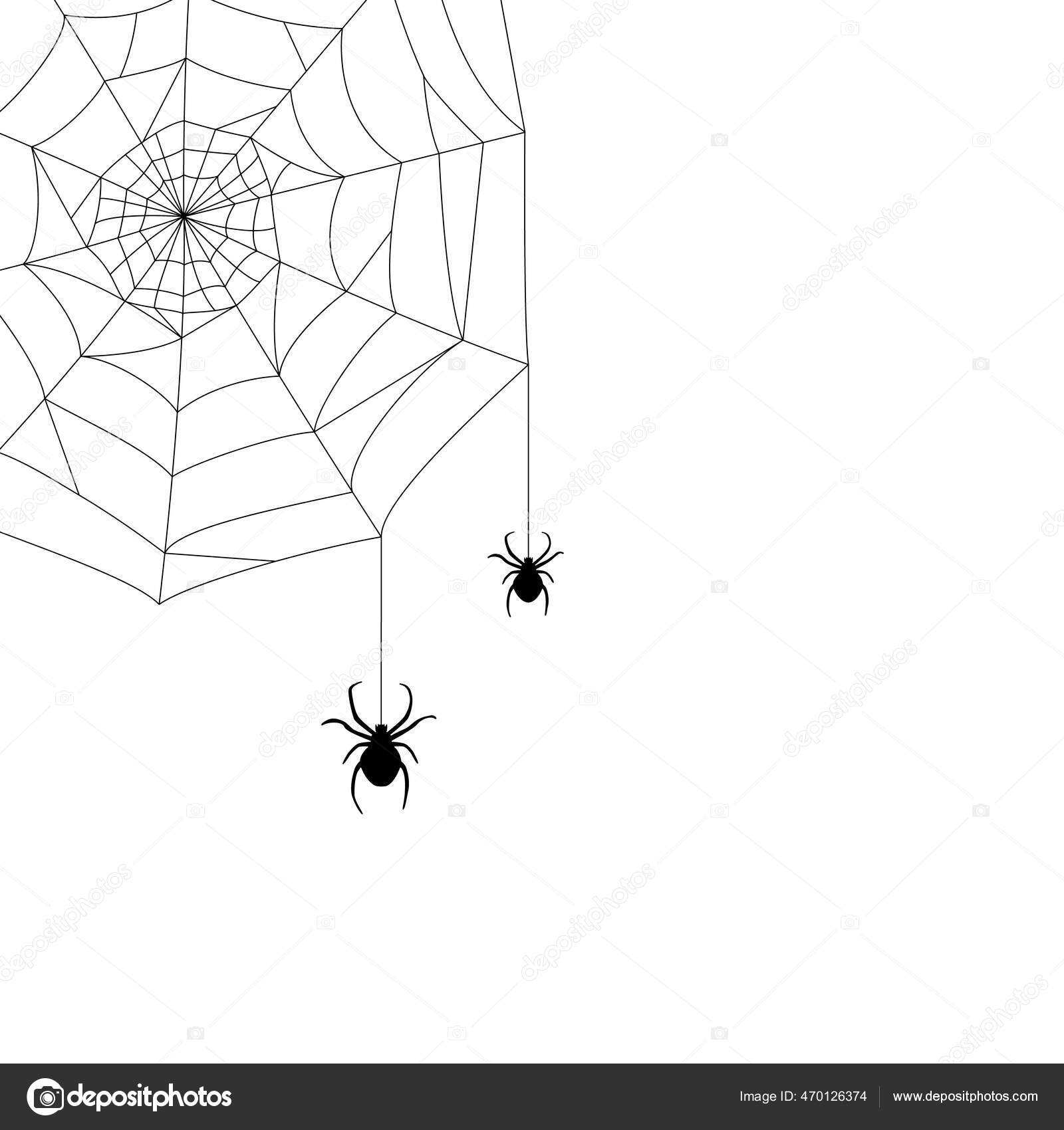 Corner Spider Web Cartoon