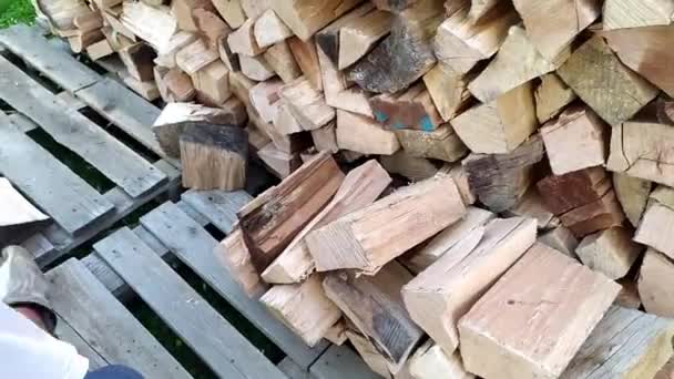 1,074 Cortex Videos, Royalty-free Stock Cortex Footage | Depositphotos