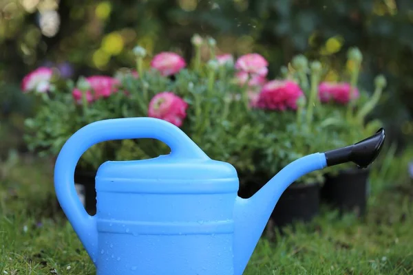 Arrosoirs de jardin images libres de droit, photos de Arrosoirs de ... Arrosoirs de jardin images libres de droit, photos de Arrosoirs de ...