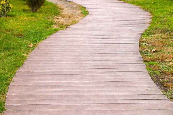Wooden walkway Images - Search Images on Everypixel