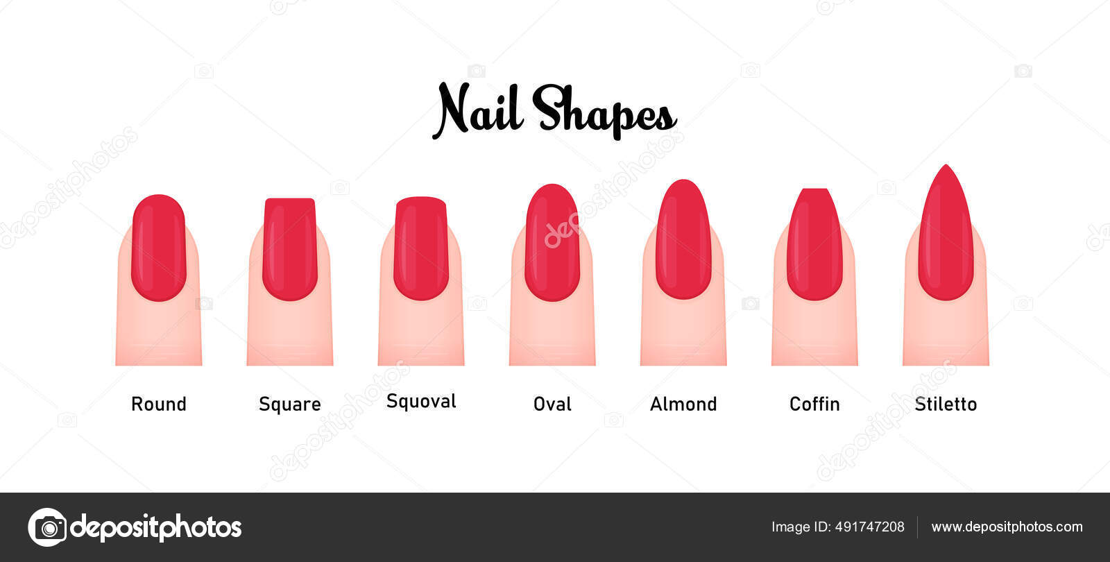 Various Nail Shapes Vector Illustration Set Stock Vector by ©barks ...