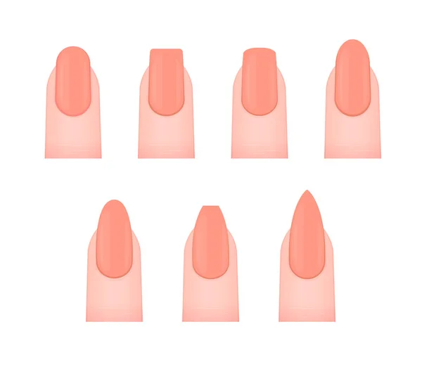 Various Nail Shapes Vector Illustration Set Stock Vector by ©barks ...