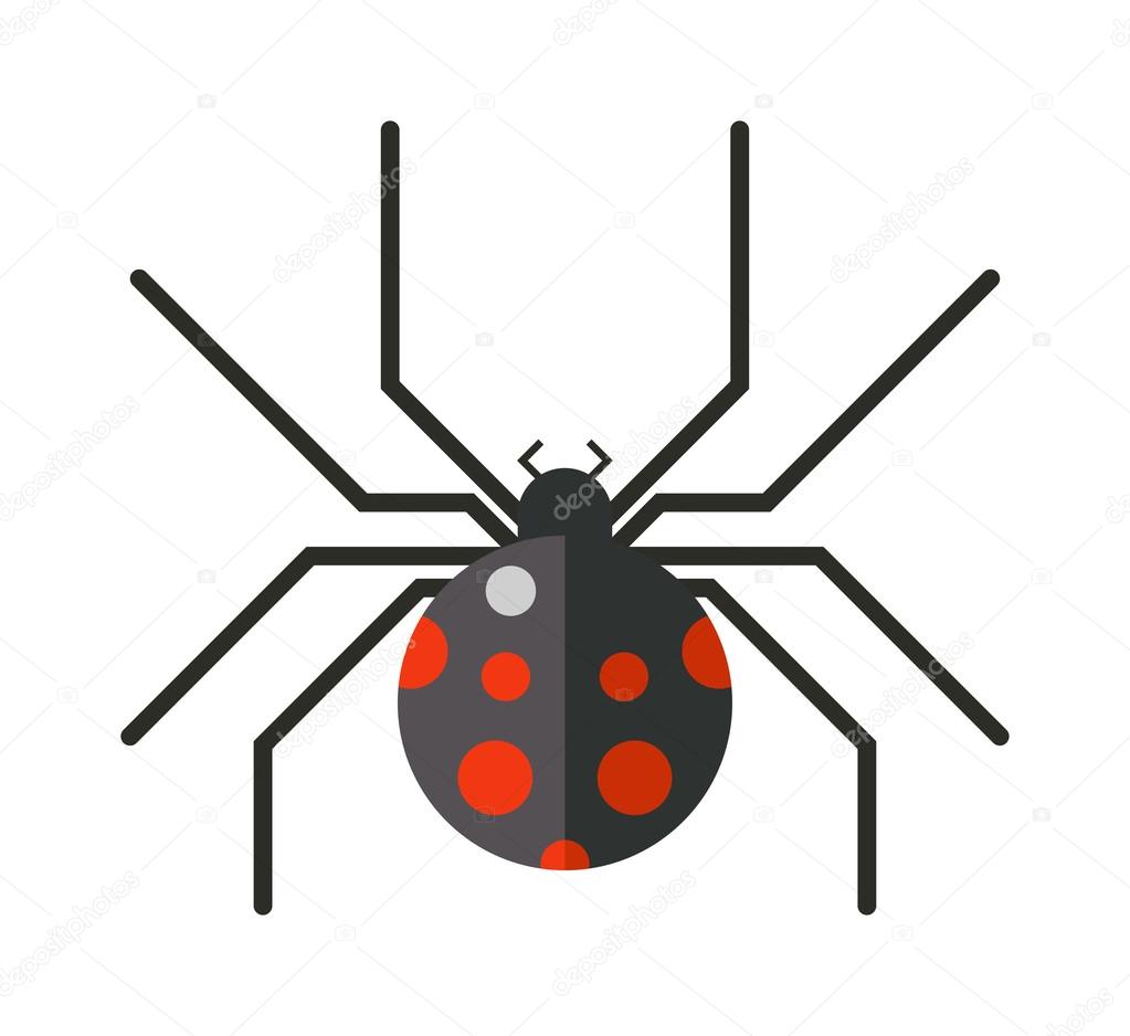 Flat spider insect danger silhouette vector icon illustration Stock ...