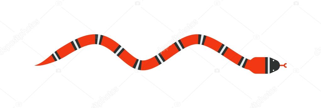 Vector flat snake isolated on white background — Stock Vector © adekvat ...