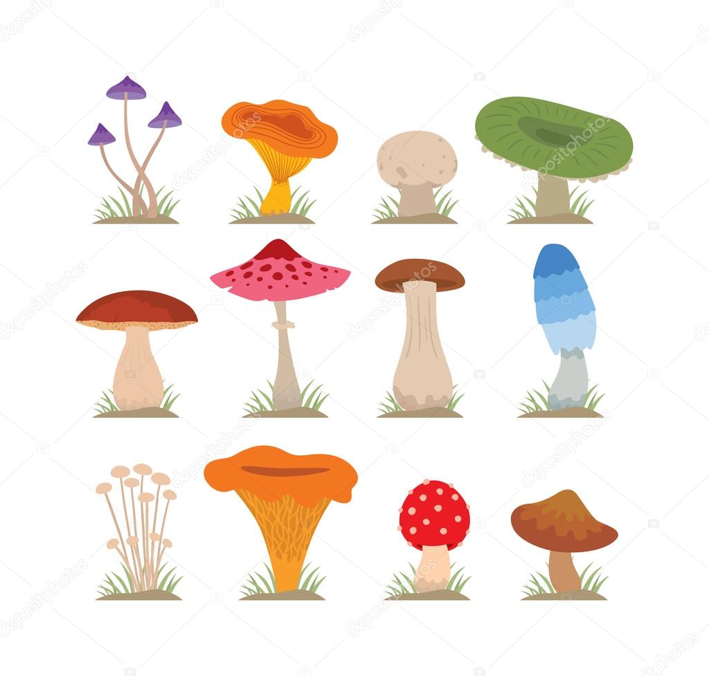 Mushrooms vector illustration set different types isolated on white ... Mushrooms vector illustration set different types isolated on white ...