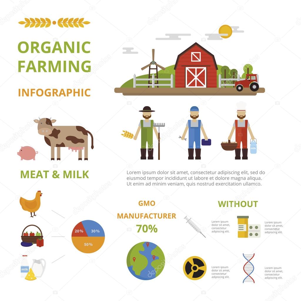 Agriculture farming organic food infographic elements concept vector ...