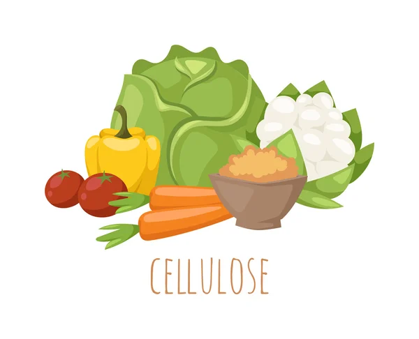 Vegetables food cellulose vector set. Stock Vector Image by ©adekvat ...