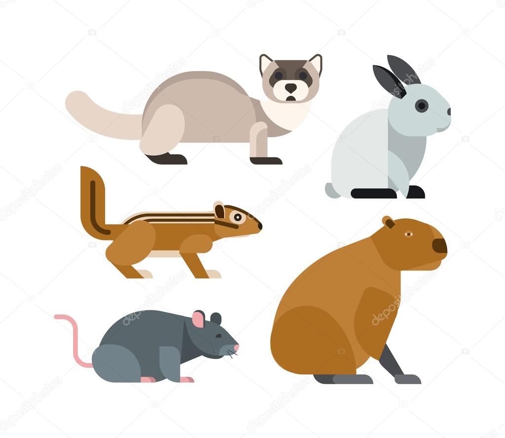 Cartoon rodents animals vector set. Stock Vector Image by ©adekvat ...