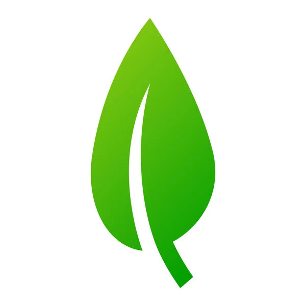 Ovate Shaped Leaf Veins Structuring Milkweed Leaf Stock Vector Image by ...