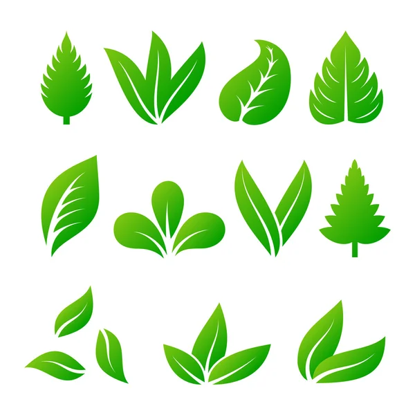 100,000 Flower leaf Vector Images | Depositphotos