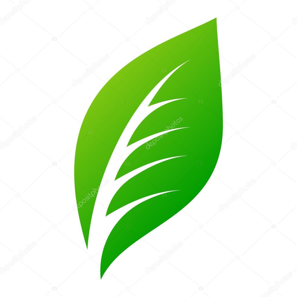 Folha ícone vetor ilustração. — Vetor de Stock © adekvat #123611736