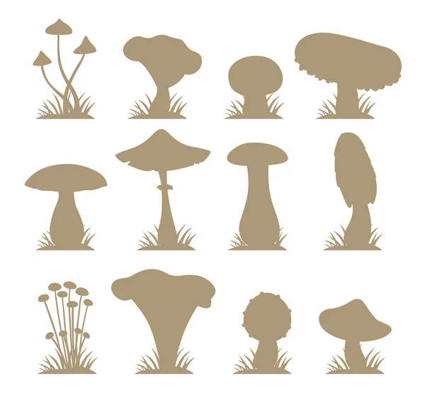 Mushrooms vector illustration set different types isolated on white ... Mushrooms vector illustration set different types isolated on white ...