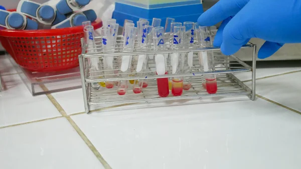 Laboratorio hematologia Stock Photos, Royalty Free Laboratorio ...