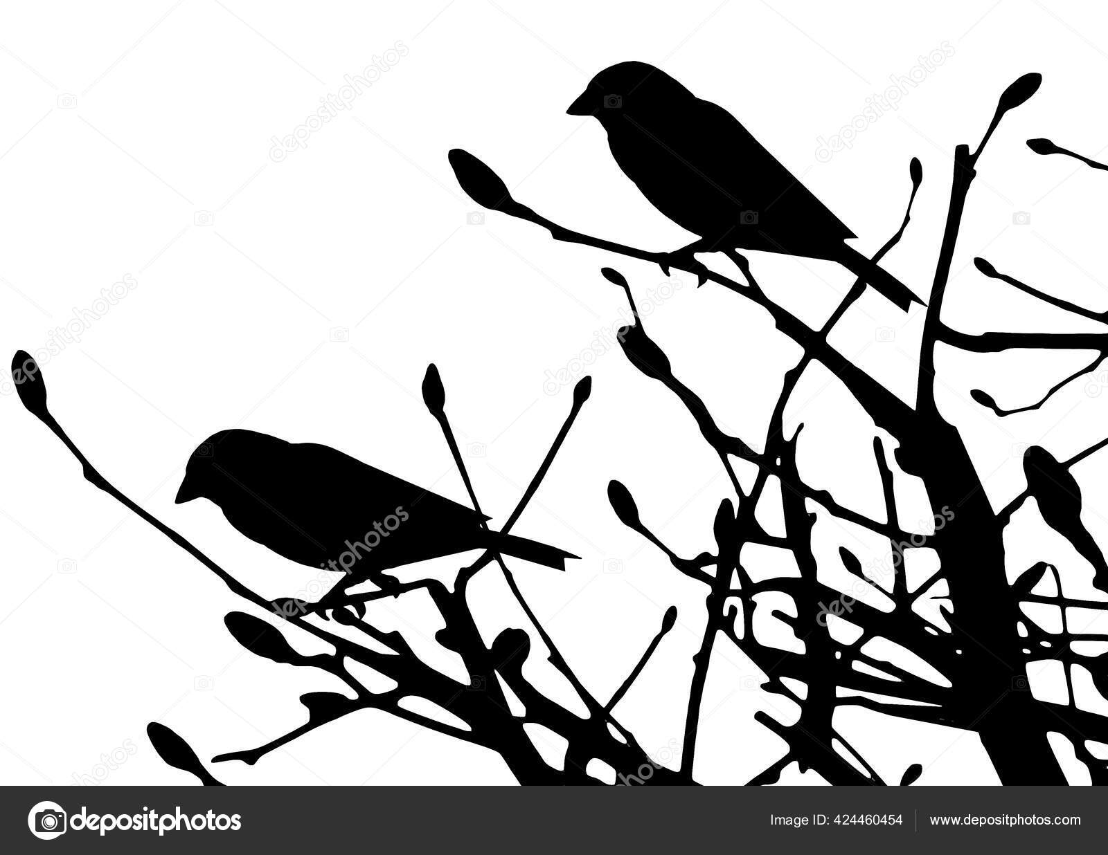 Tree Birds Drawing Black And White