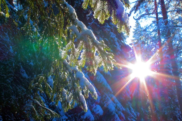 Sunshine over snow Stock Photos, Royalty Free Sunshine over snow Images ...