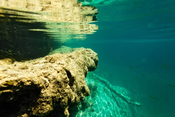 Underwater cliff Stock Photos, Royalty Free Underwater cliff Images ...