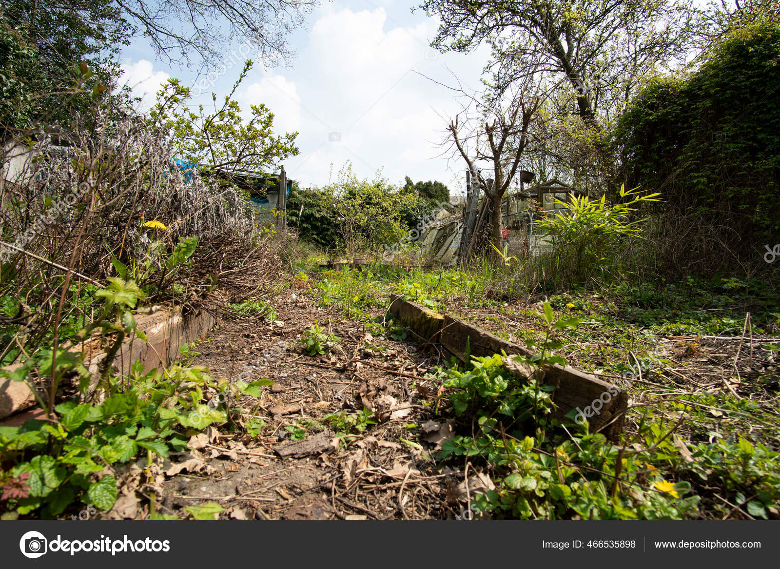 Path Neglected Garden Stock Photo by ©SimonXT2 466535898