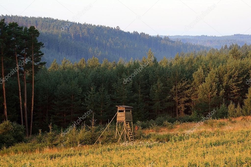 Hunting Woods Background