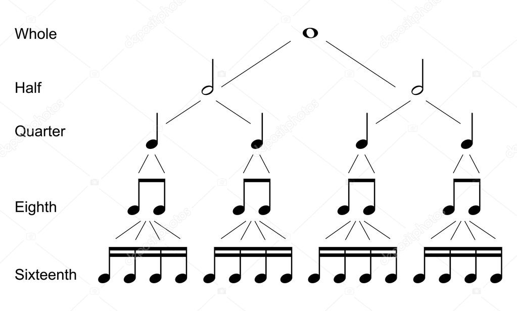 Types of musical notes Stock Vector by ©soloviika 115070234