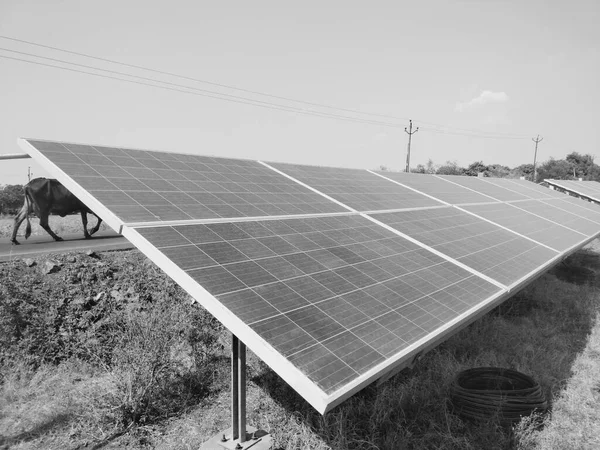 Indian solar panel Stock Photos, Royalty Free Indian solar panel Images ...