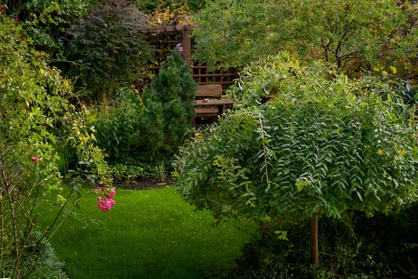 Back garden Stock Photos, Royalty Free Back garden Images | Depositphotos