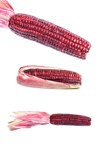 Maïs chili rose images libres de droit, photos de Maïs chili rose ...