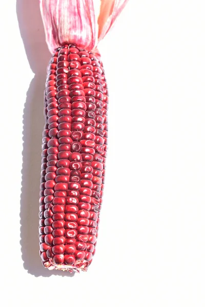 Roses de maïs images libres de droit, photos de Roses de maïs ...