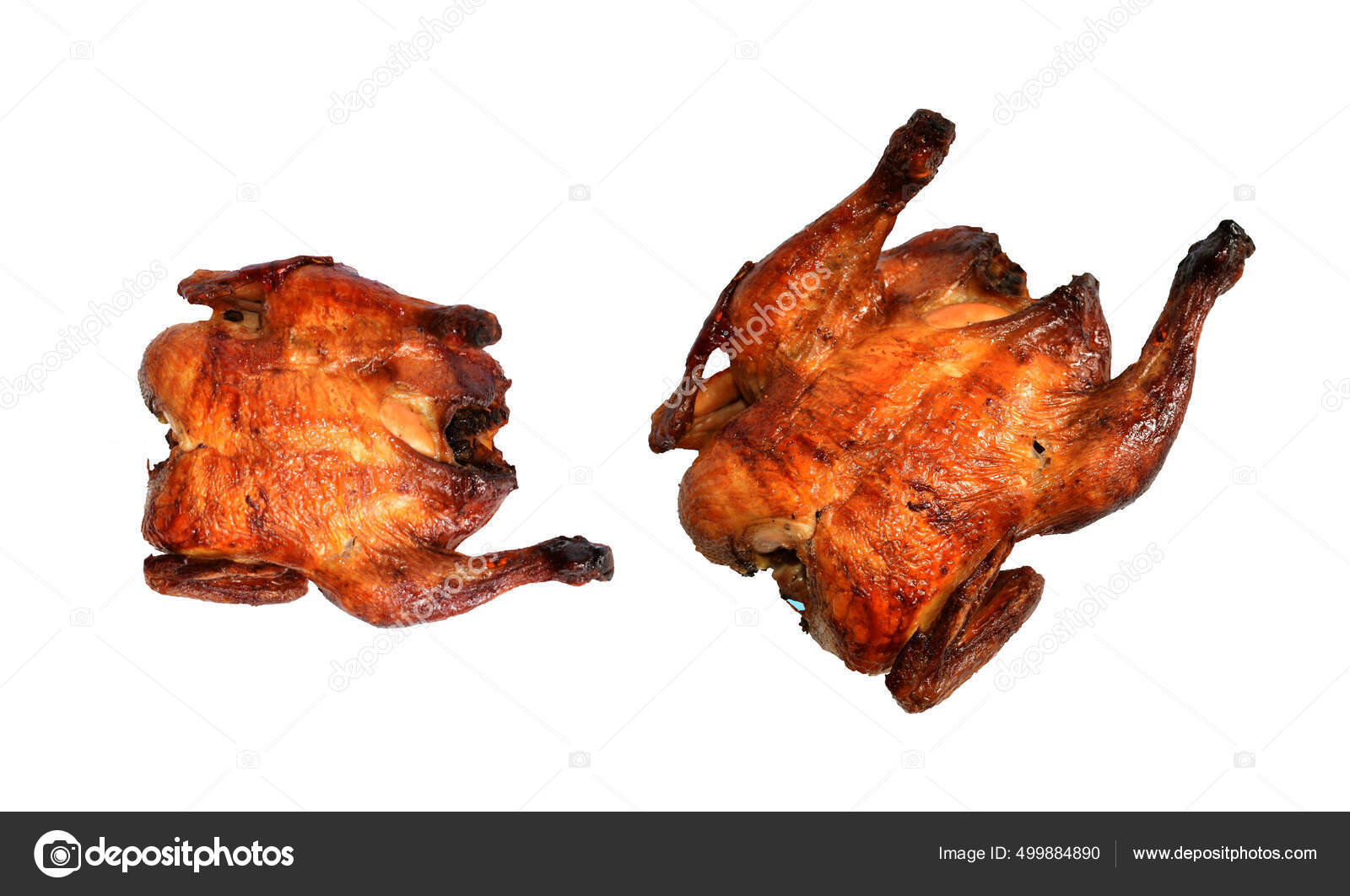 Grilled Whole Chicken Turkey Isolated White Background Shadow Cooked ...