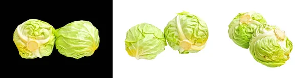 Types of cabbage Stock Photos, Royalty Free Types of cabbage Images ...